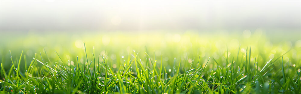 Monthly Menus & Recipes | My Food Program