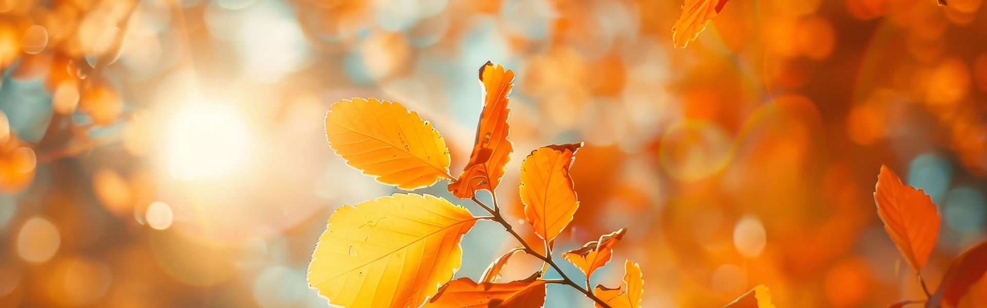 Monthly Menus & Recipes | My Food Program