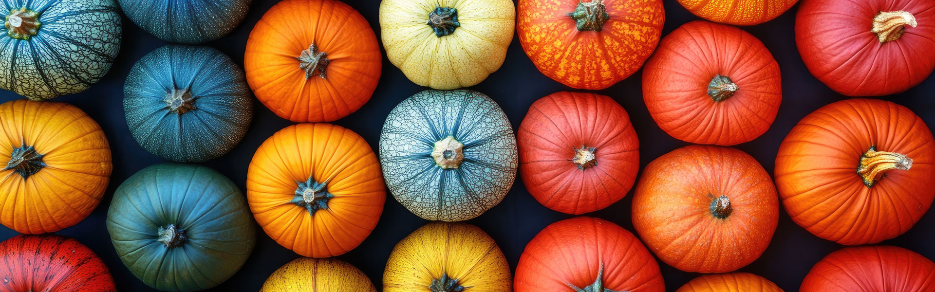 Monthly Menus & Recipes | My Food Program